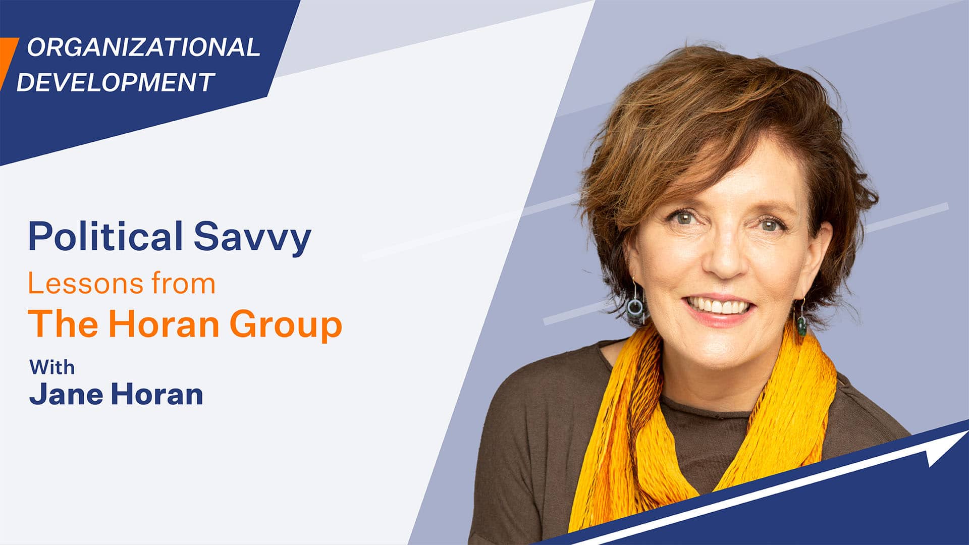 Political Savvy: Lessons from the Horan Group - GLOBIS Unlimited